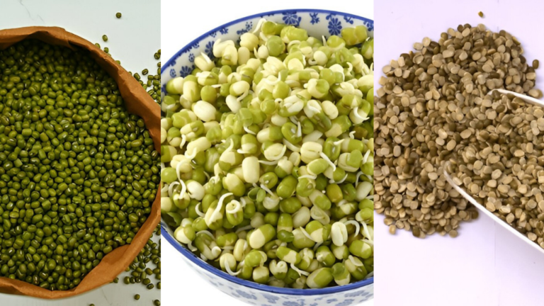 Green Gram Benefits, Nutrition and Recipes