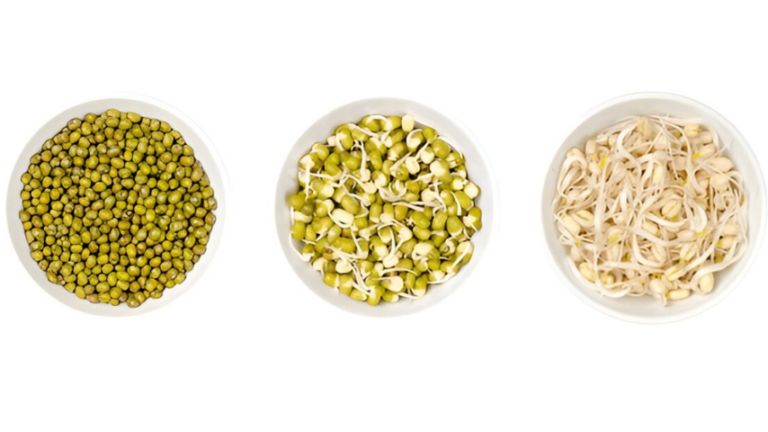 Green Gram Benefits, Nutrition and Recipes